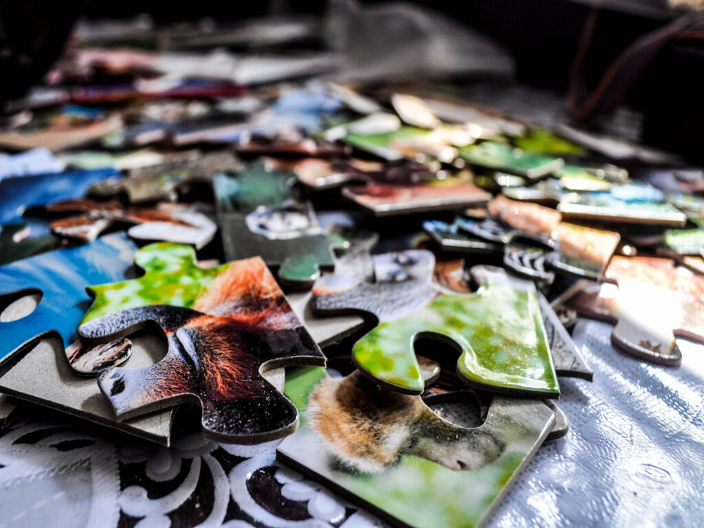 Why do You Play the Same Jigsaw Puzzle Twice?